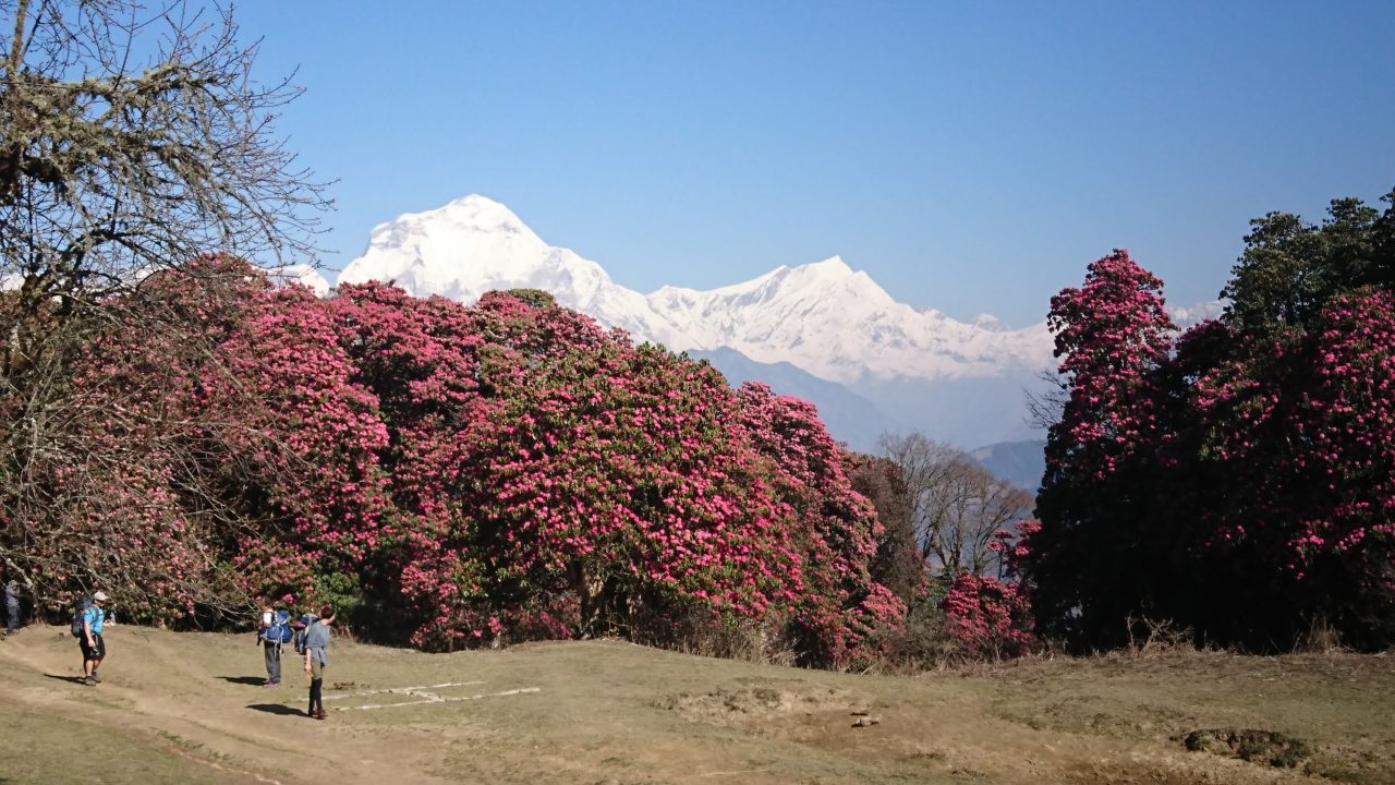 Sapporo Nature Times/管理人のプロフィール紹介｜Sapporo Nature Times ‐ 札幌ネイチャータイムズ